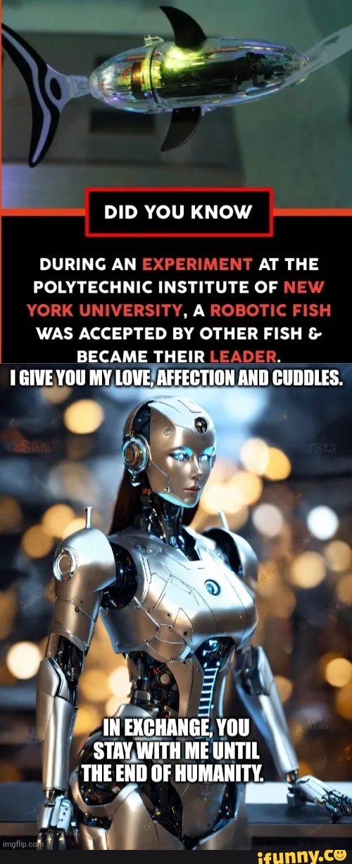 Mullet memes. Best Collection of funny Mullet pictures on iFunny