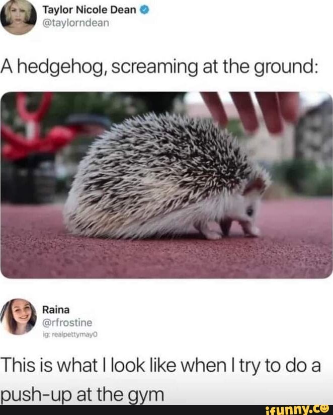 Dean memes. Best Collection of funny Dean pictures on iFunny