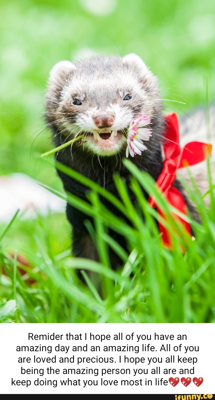 Remider memes. Best Collection of funny Remider pictures on iFunny