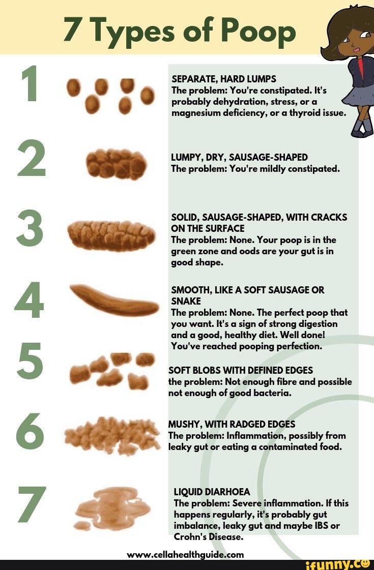 7 Types of Poop se SEPARATE, HARD LUMPS The problem: You're constipated. It's probably ...