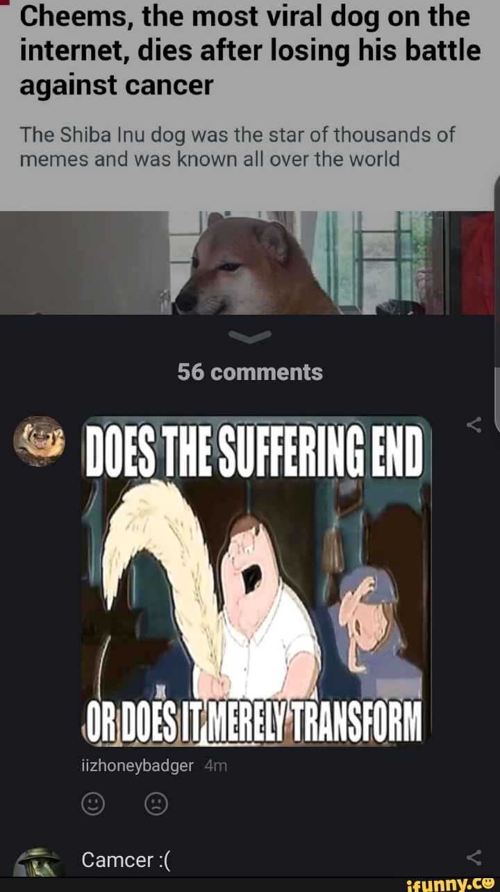 Cheems, the most viral dog on the internet, dies after losing his ...