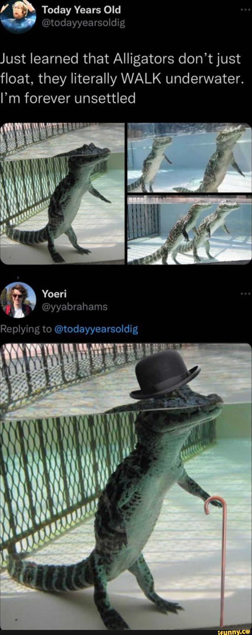 Today Years Old @todayyearsoldig Just learned that Alligators don't ...