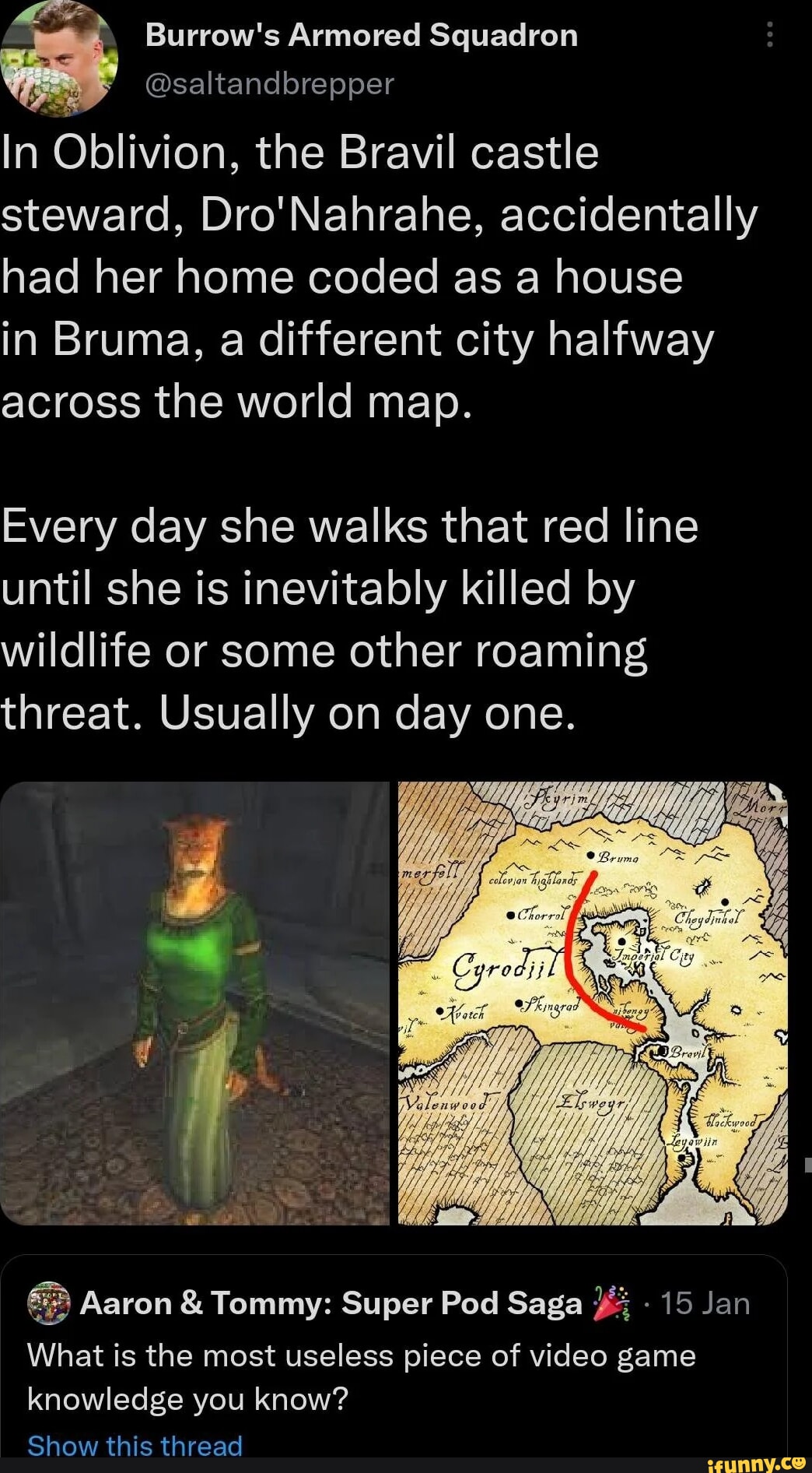 Burrow's Armored Squadron @saltandbrepper In Oblivion, the Bravil ...