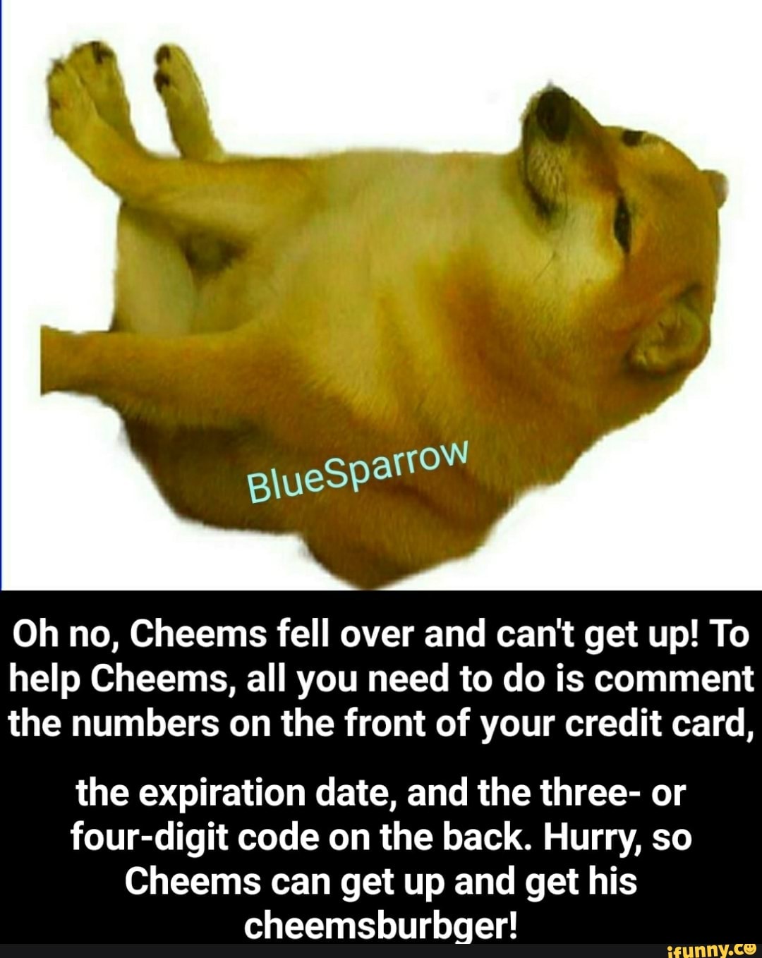 Blue Oh no, Cheems fell over and can't get up! To help Cheems, all you ...