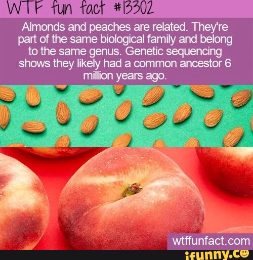 Sequencing memes. Best Collection of funny Sequencing pictures on iFunny