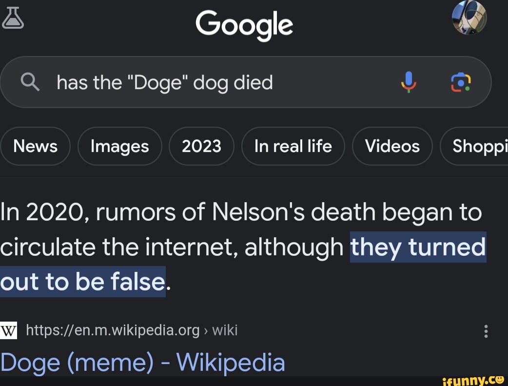 & Google has the "Doge" dog died News Images 2023 Inreallife Videos ...