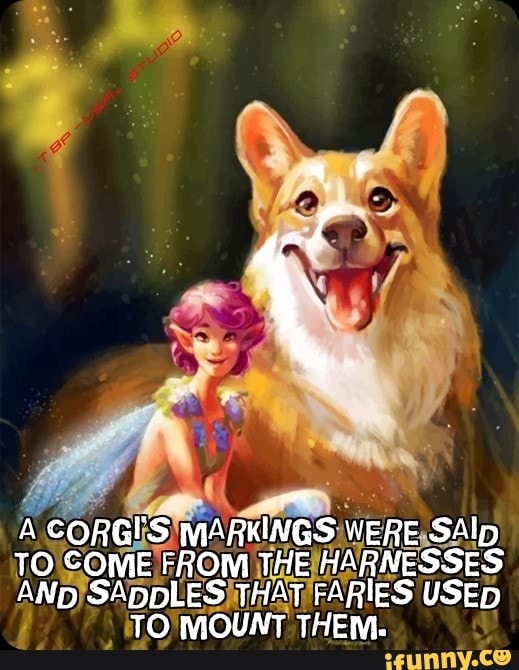 Faries memes. Best Collection of funny Faries pictures on iFunny