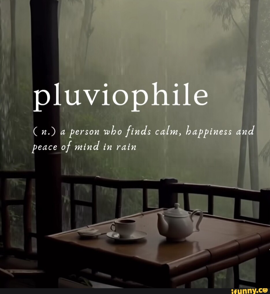 Pluviophile memes. Best Collection of funny Pluviophile pictures on iFunny