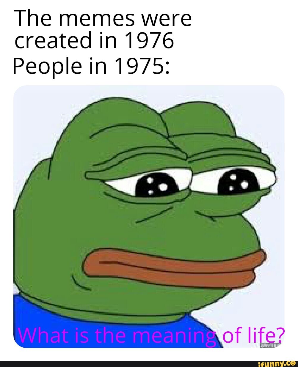 The memes were created in 1976 People in 1975: - iFunny