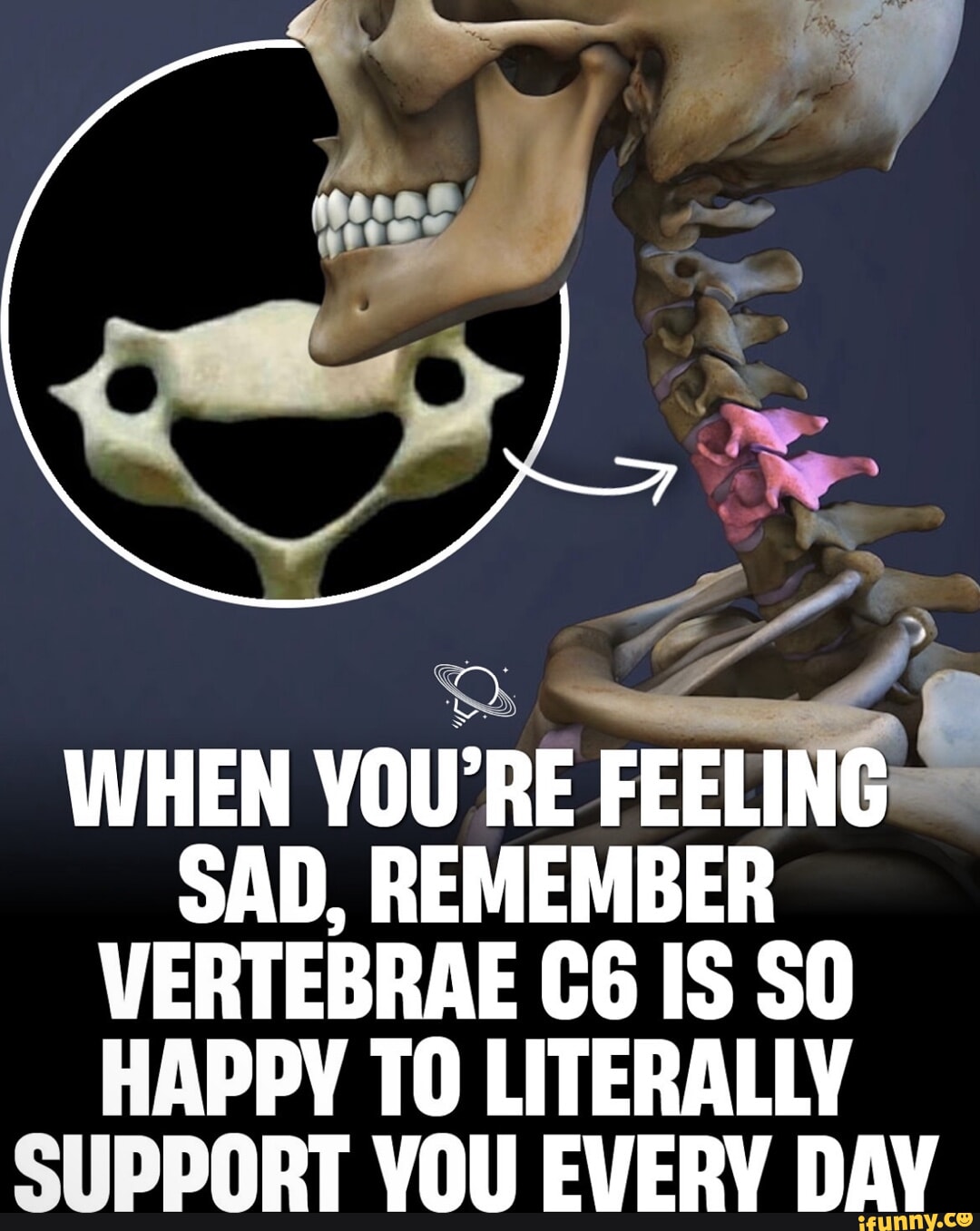 CF WHEN YOU'RE FEELING SAD, REMEMBER VERTEBRAE IS SO HAPPY TO LITERALLY ...