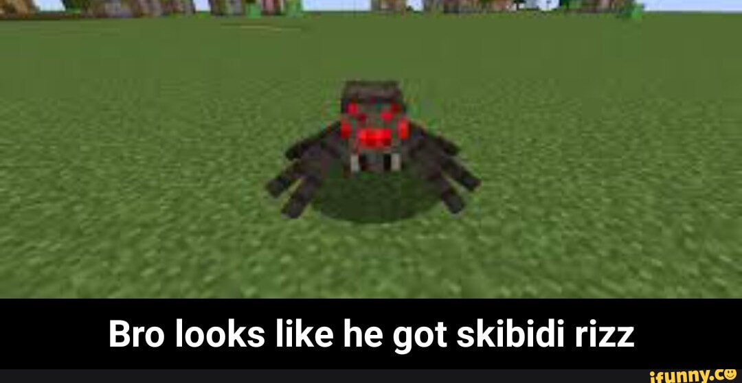 Bro looks like he got skibidi rizz Bro looks like he got skibidi rizz ...