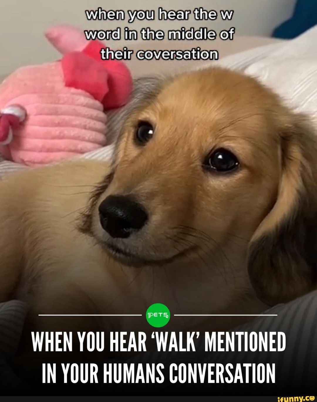 Coversation memes. Best Collection of funny Coversation pictures on iFunny