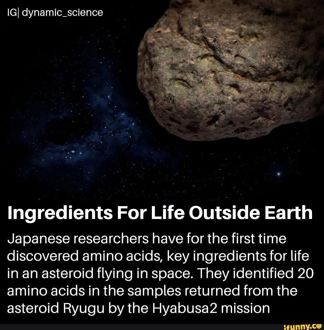 Amino memes memes. The best memes on iFunny