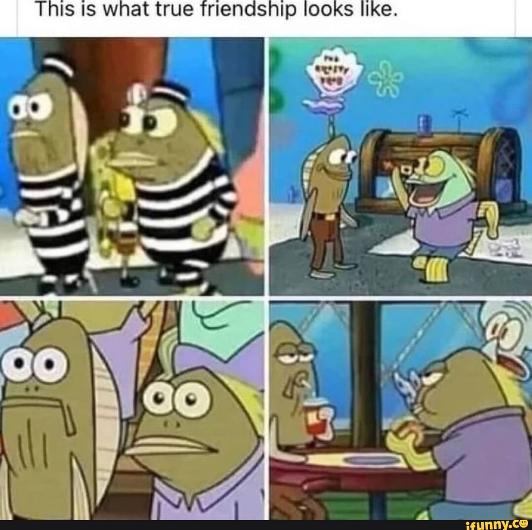 Hold up whatttt - iFunny