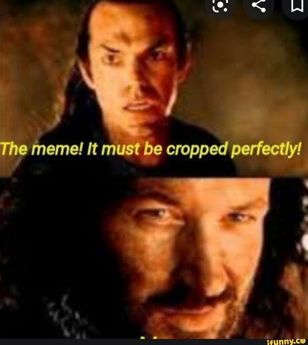 The meme! must be cropped - iFunny