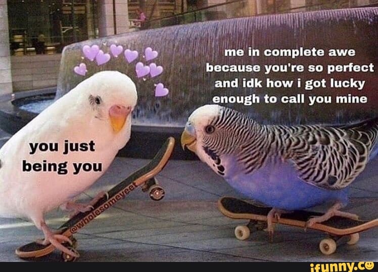 Me in complete awe because you're so perfect and idk how i got lucky ...