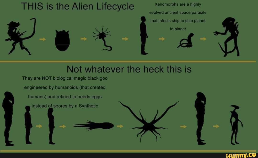 THIS is the Alien Lifecycle evolved ancient space parasite that infects ...