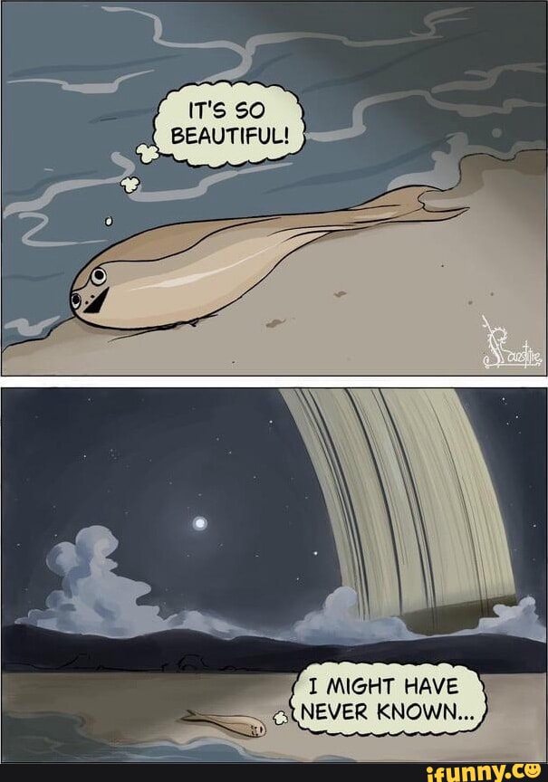 Humanity First - iFunny