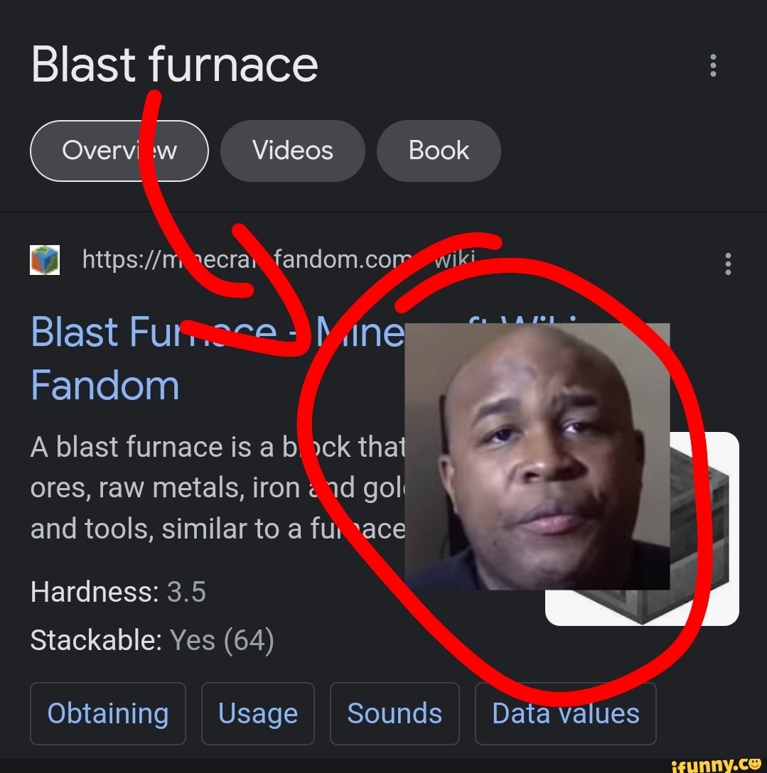 Fursese memes. Best Collection of funny Fursese pictures on iFunny