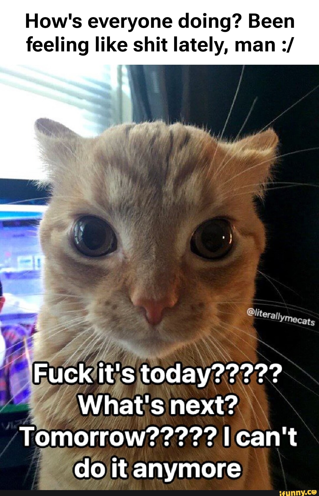 Miserable memes. Best Collection of funny Miserable pictures on iFunny