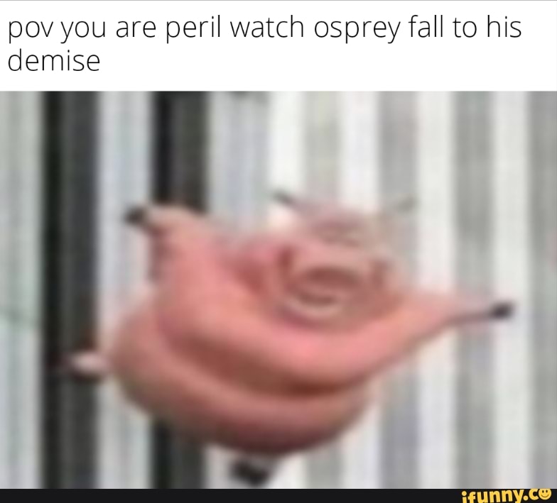 Osprey memes. Best Collection of funny Osprey pictures on iFunny