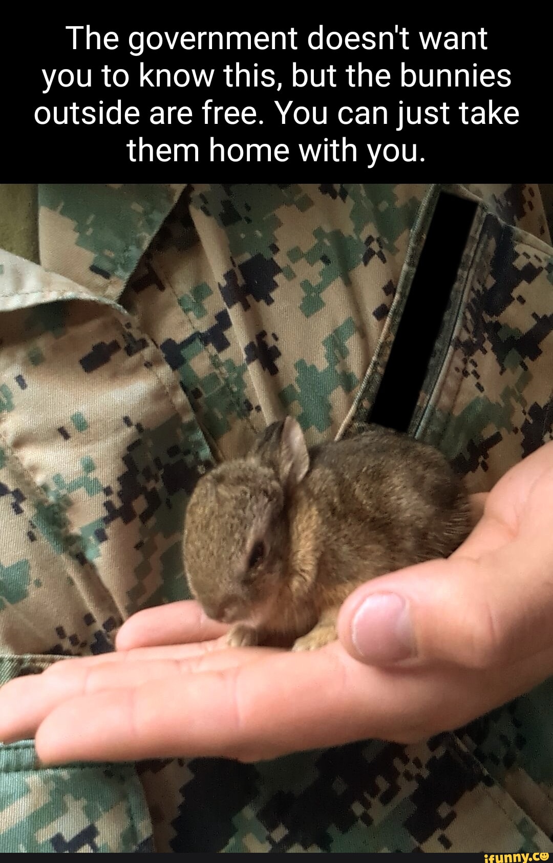 Smol memes. Best Collection of funny Smol pictures on iFunny