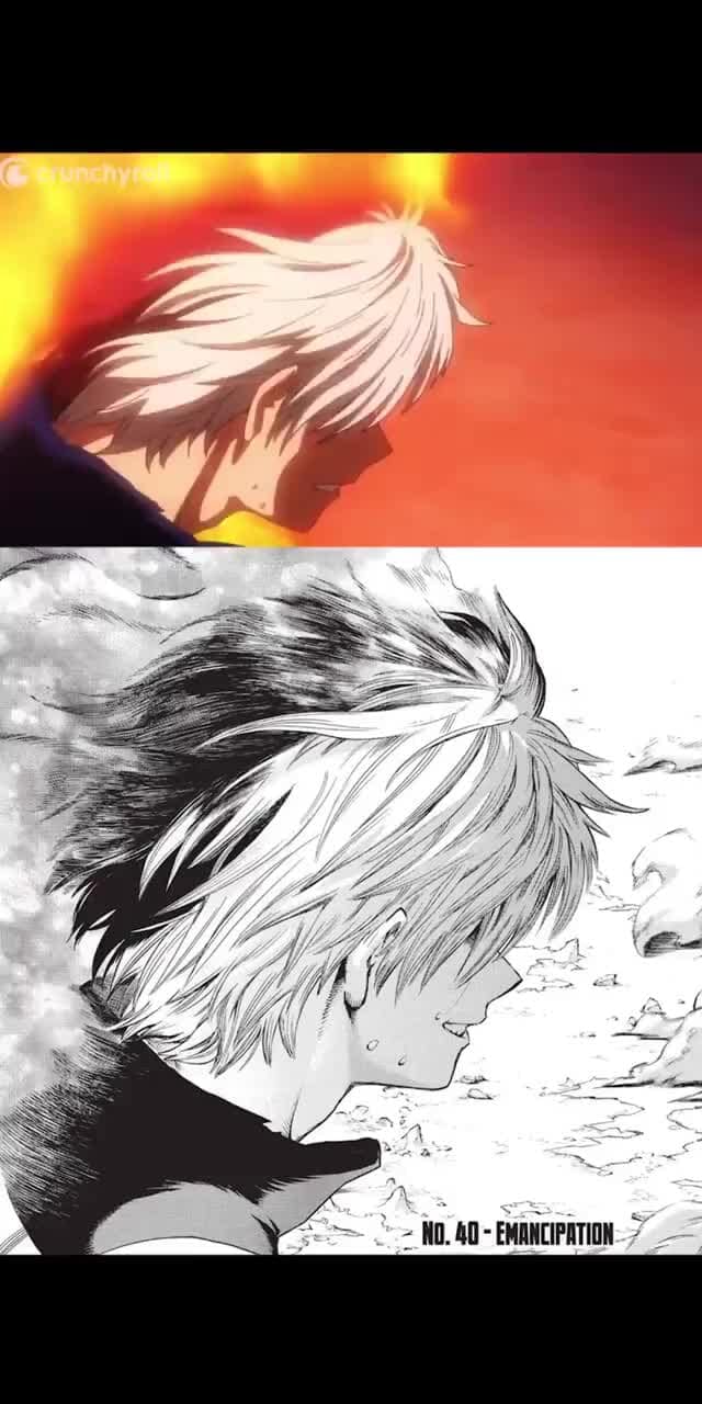 Shoto Todoroki - My Hero Academia - Chapter 40 Colored Panel ...