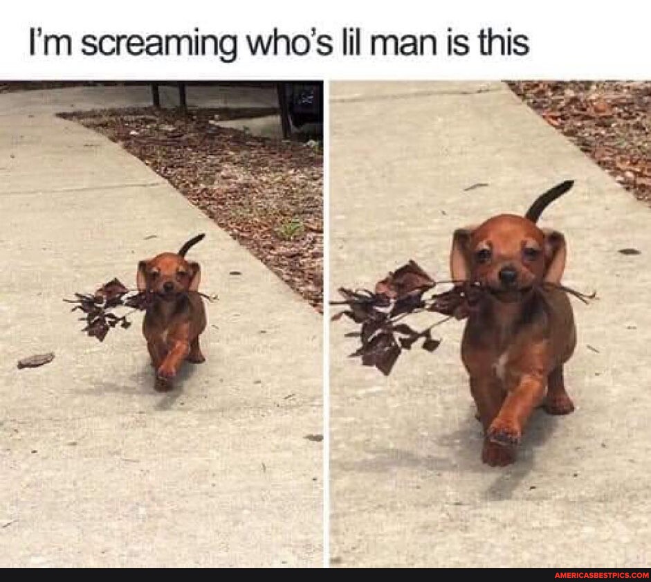 Get you a man who brings you flowers 😍 - I'm screaming who's lil man is ...