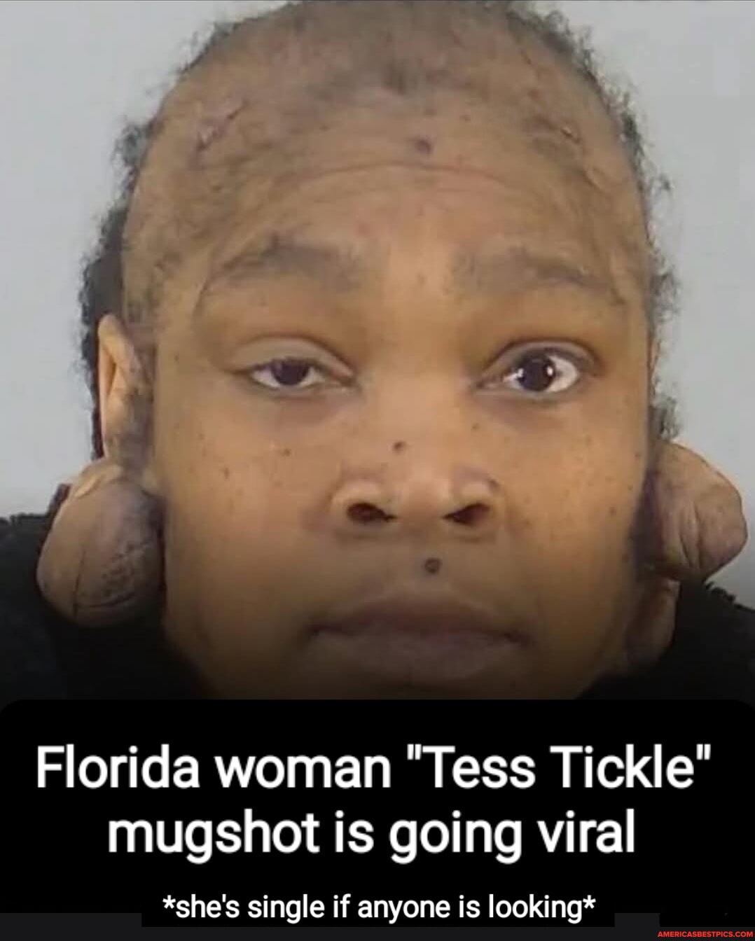 Florida woman "Tess Tickle" mugshot is going viral *she's single if ...