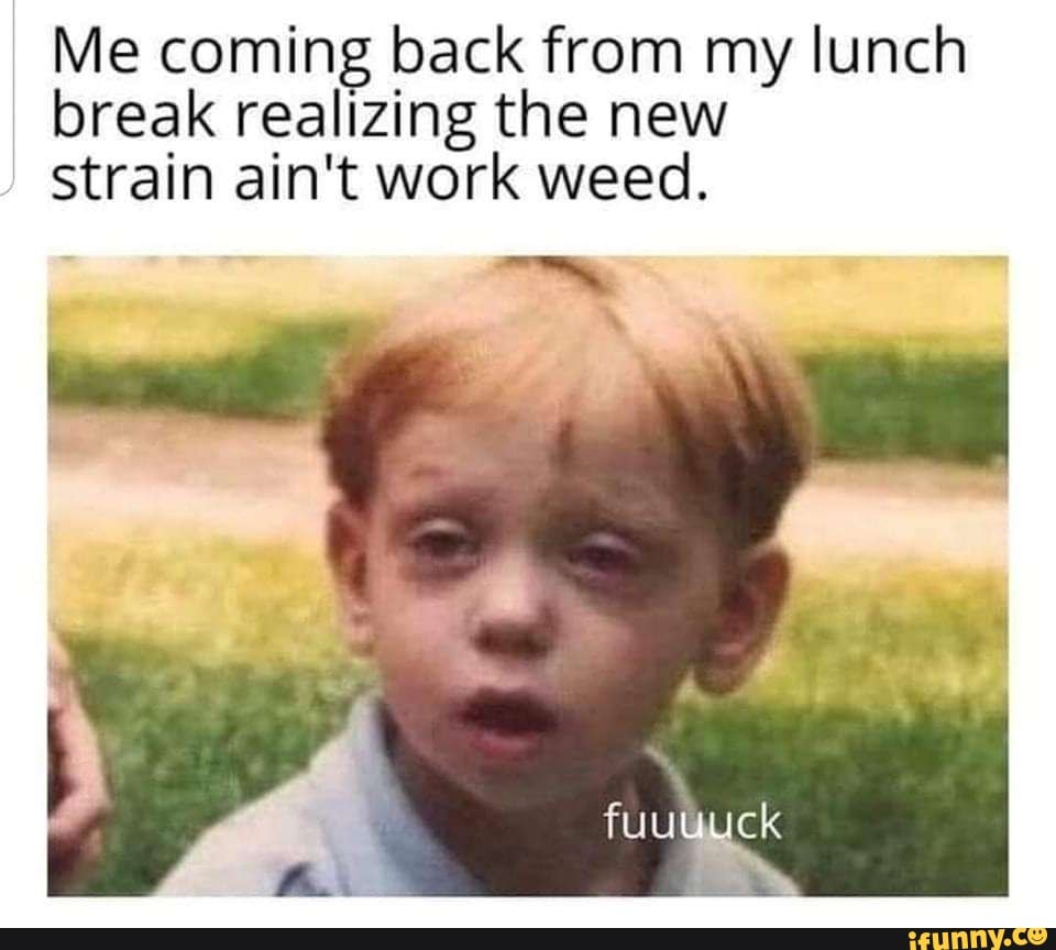 Me coming back from my lunch break realizing the new Strain ain't work ...