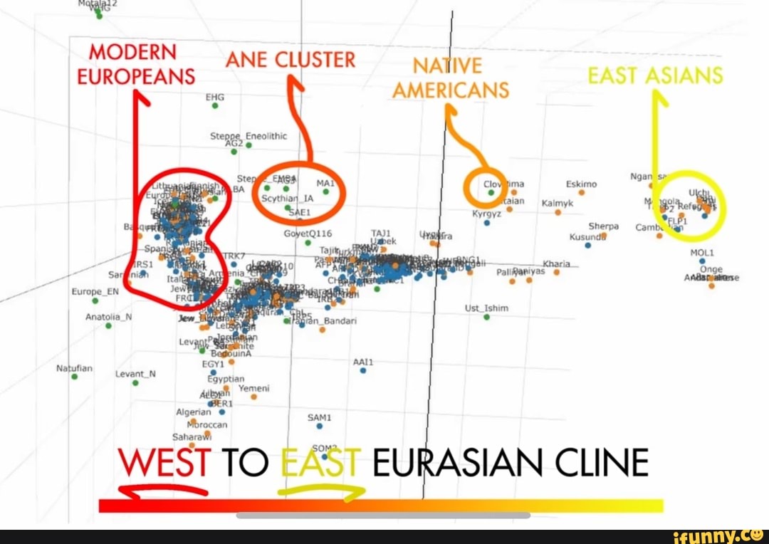 Eyant memes. Best Collection of funny Eyant pictures on iFunny