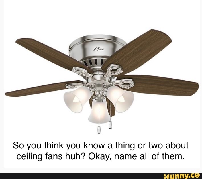 Ceilingfanmemes memes. Best Collection of funny Ceilingfanmemes ...