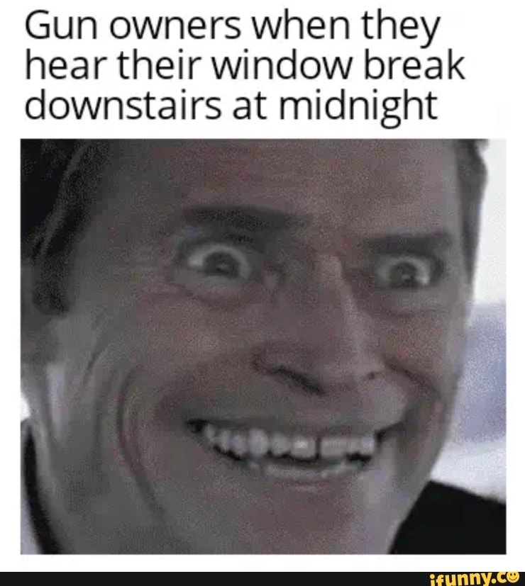Gun owners when they hear their window break downstairs at midnight ...