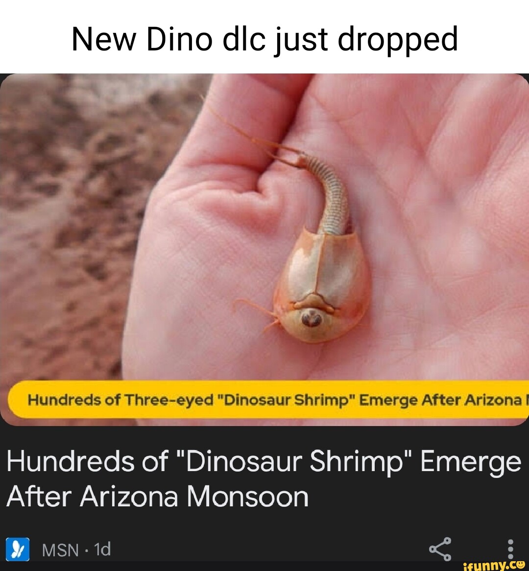 SHHH... THE EMPIRE HAS NO IDEA - iFunny