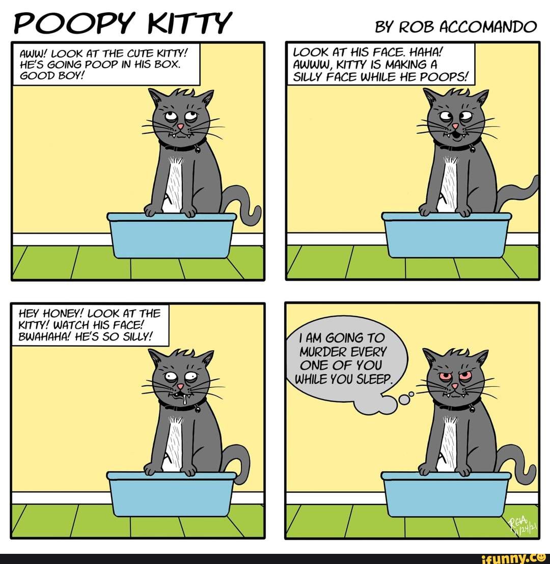 POOPY KITTY BY ROB ACCOMANDO AIW! LOOK AT THE CUTE KITTY! LOOK AT HIS ...