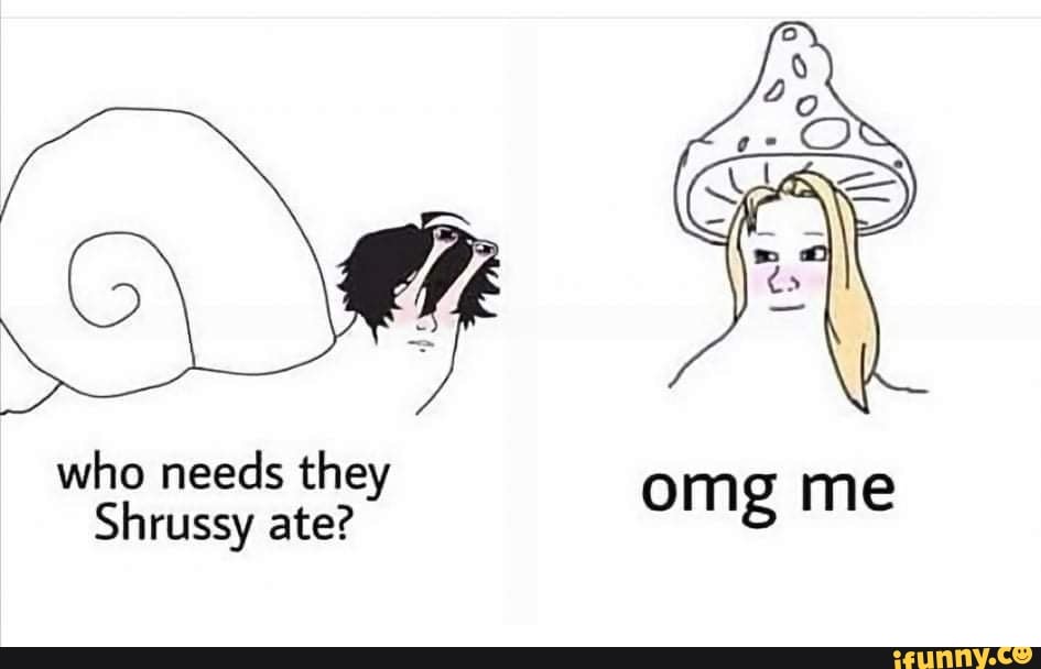 Who needs they Shrussy ate? - iFunny