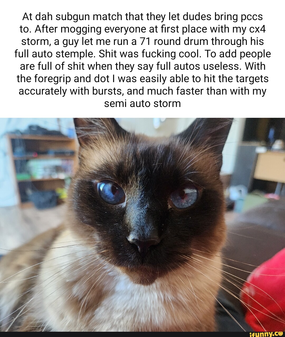 Mogging memes. Best Collection of funny Mogging pictures on iFunny