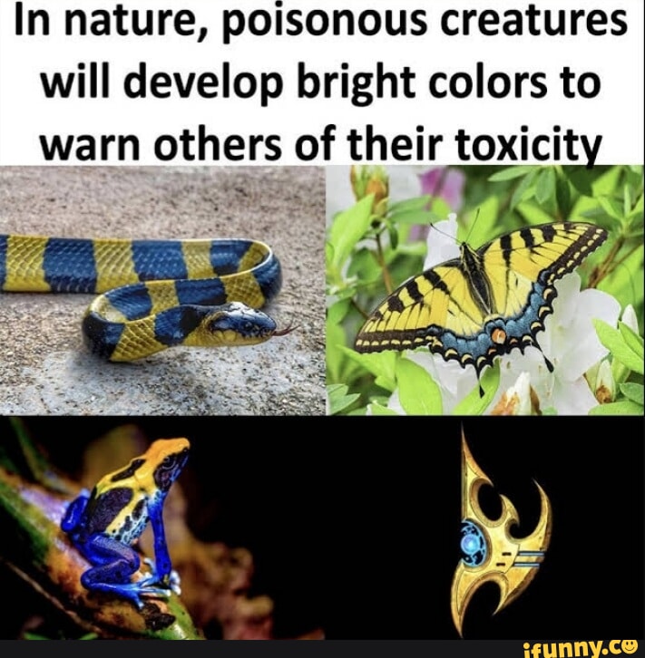 Protoss Memes