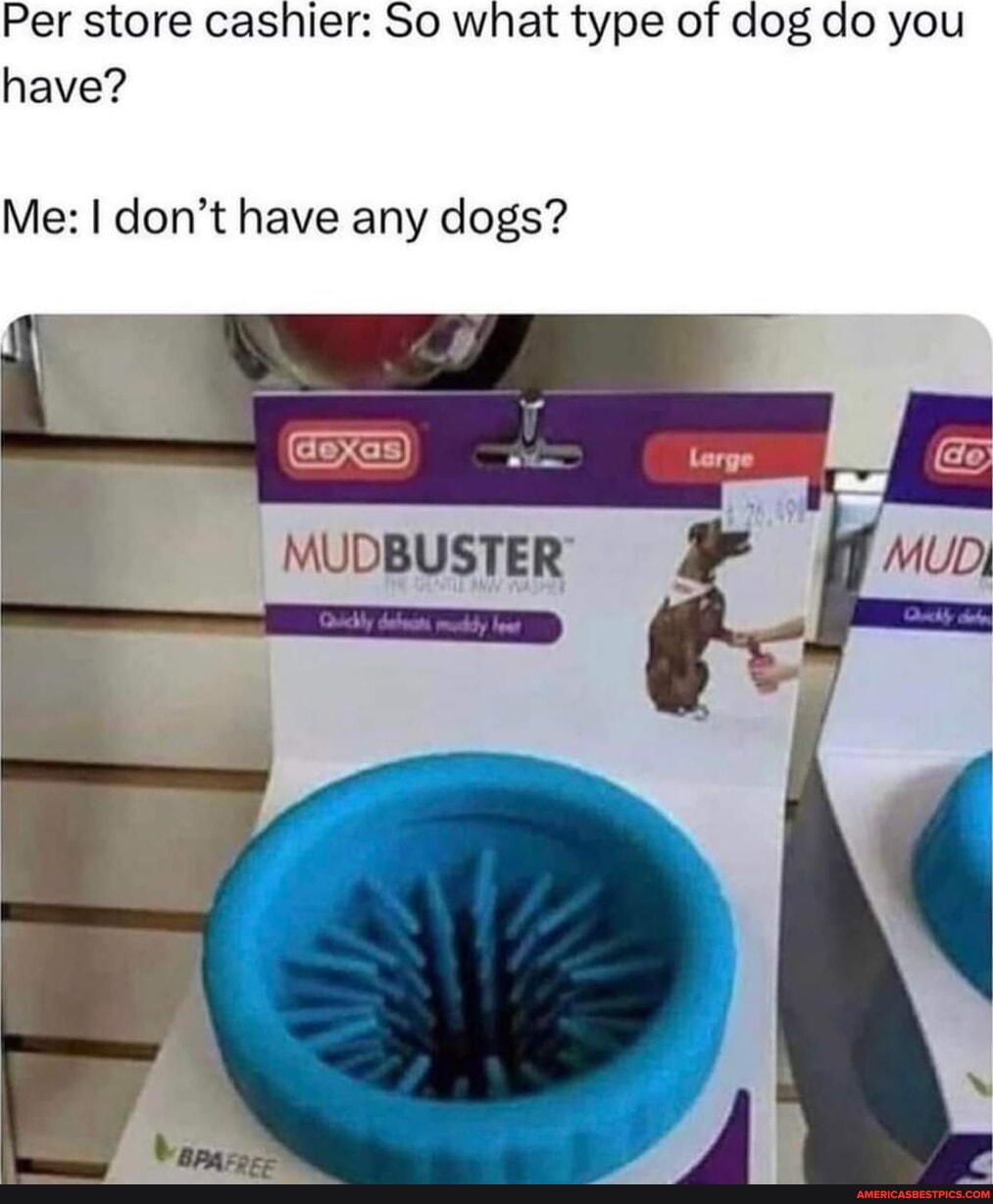 Per store cashier: So what type of dog do you have? Me: I don't have ...
