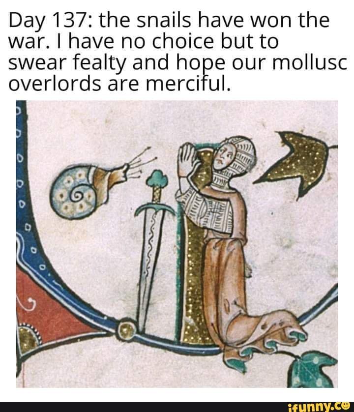 Mollusc memes. Best Collection of funny Mollusc pictures on iFunny