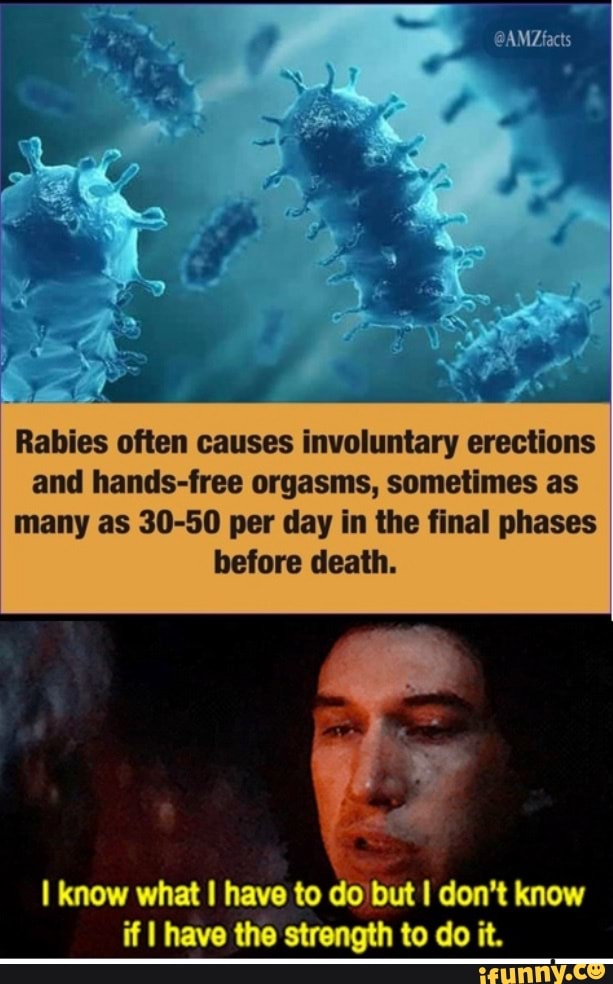 Rabies memes. Best Collection of funny Rabies pictures on iFunny