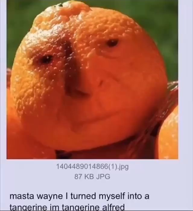 Tangerine Memes Sie Fragte Mich, Wie Man Orange Sticker Wasserdicht