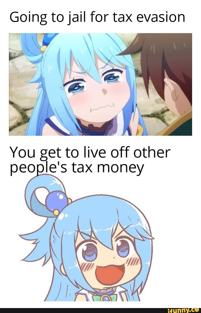 Going to jail for tax evasion You get to live off other people's tax ...