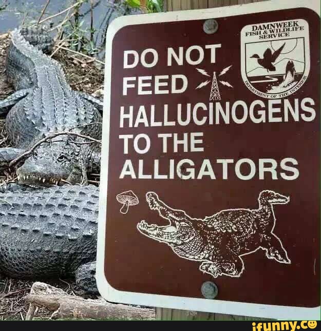 Hallucinations memes. Best Collection of funny Hallucinations pictures ...