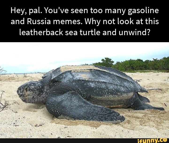 'When they tell you to come in on your day off - )