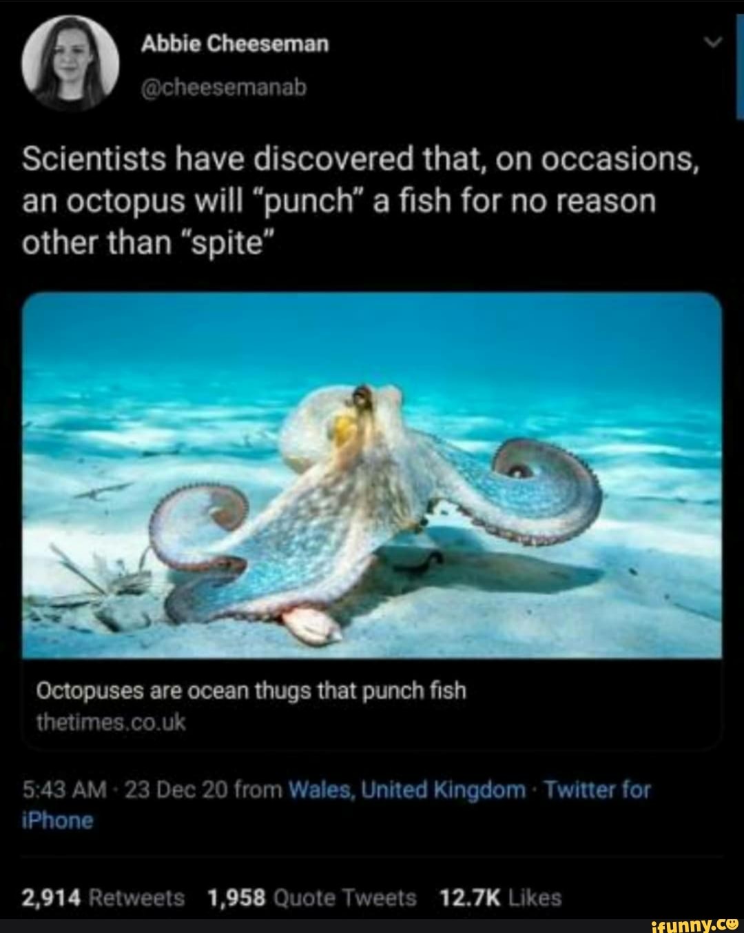 Abbie Cheeseman @cheesemanab Scientists have discovered that, on ...