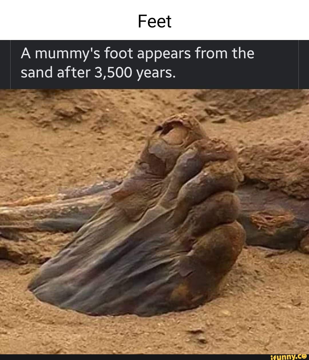 Feet A mummy's foot appears from the sand after 3,500 years. - iFunny