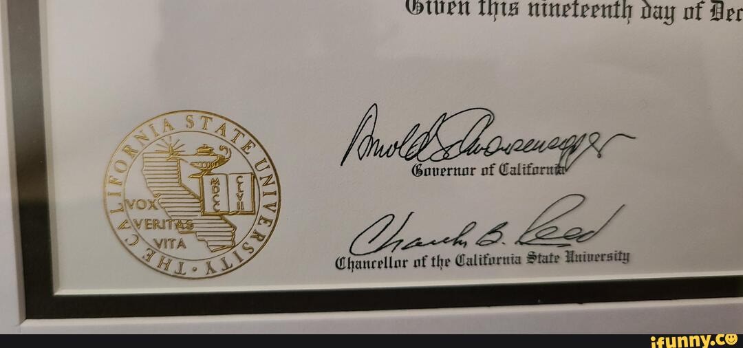 Governator memes. Best Collection of funny Governator pictures on iFunny