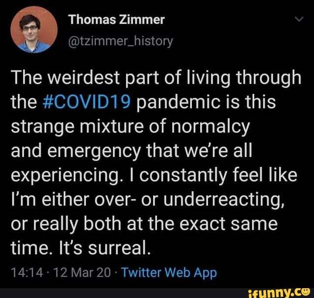 Thomas Zimmer @zimmer_history The weirdest part of living through the # ...