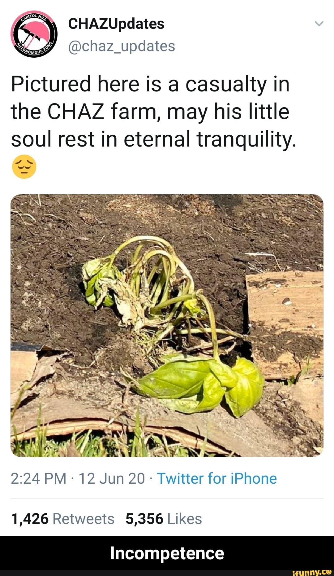 Pictured here is a casualty in the CHAZ farm, may his little soul rest ...